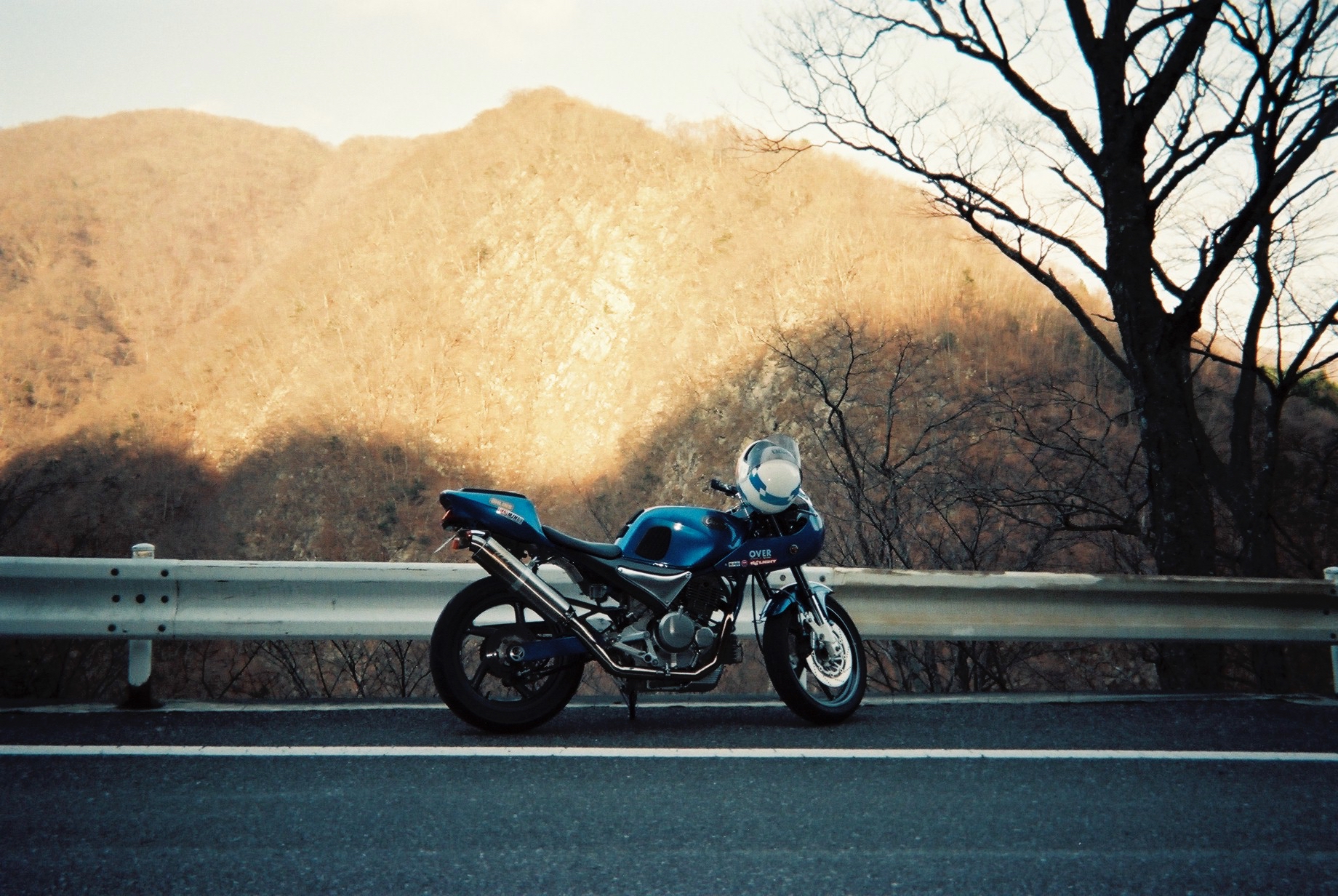 1991 Suzuki Goose 350 - Galapagos Japan