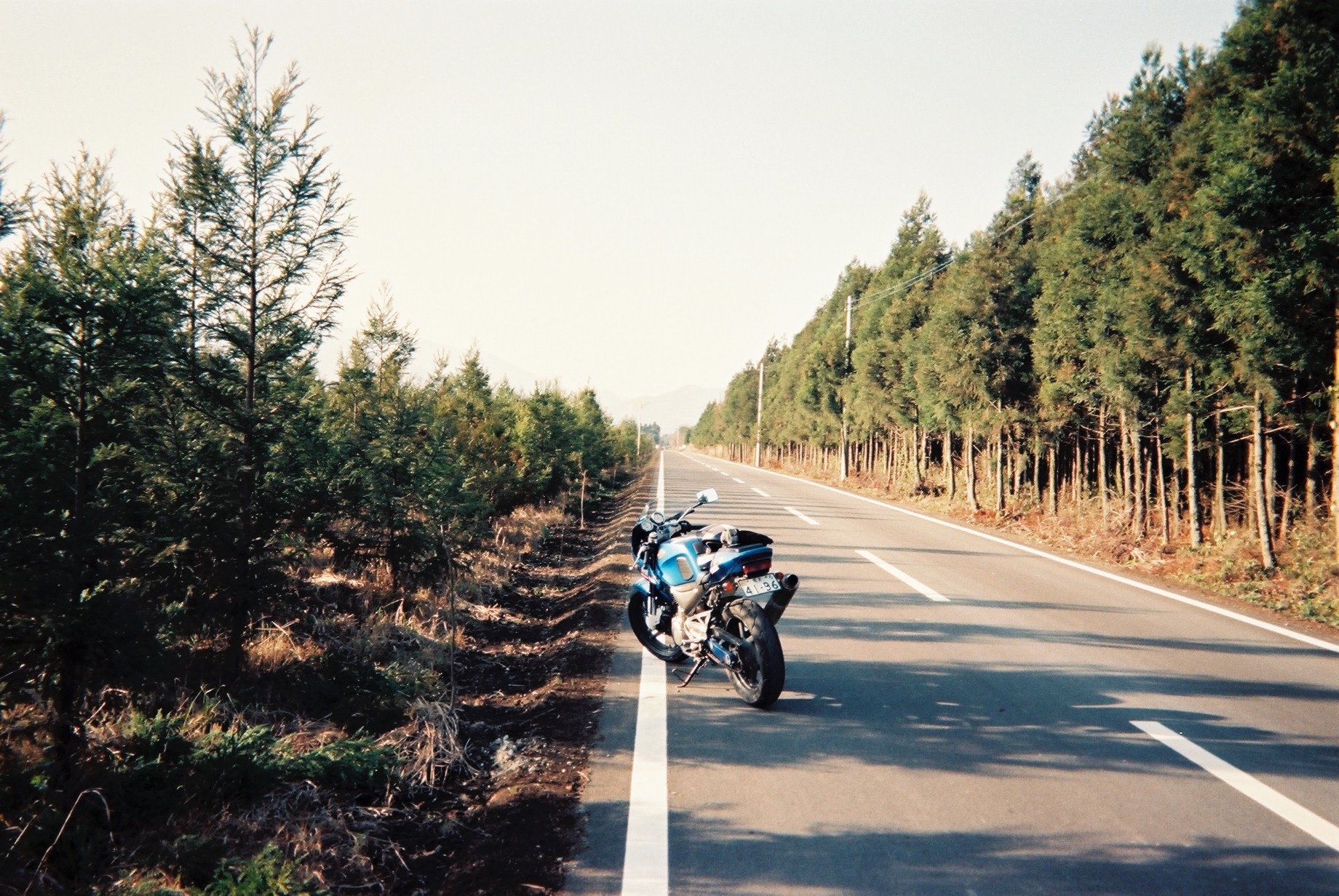 1991 Suzuki Goose 350 - Galapagos Japan
